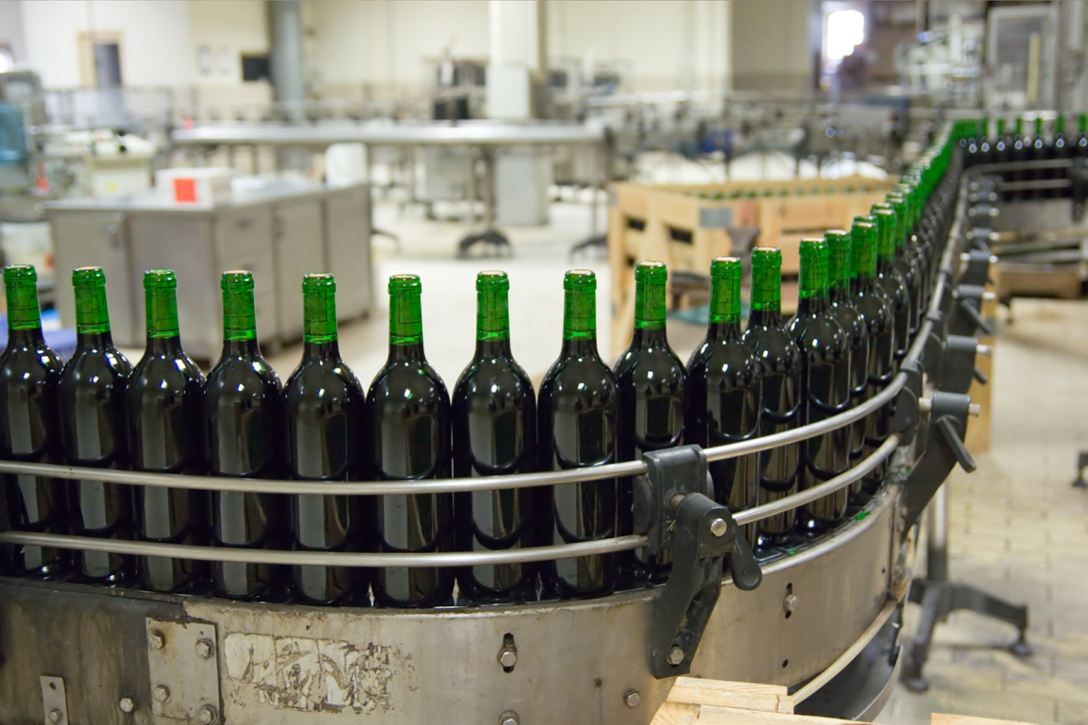 Global Wine Production Statistics: Which Countries Make the Most Wine?