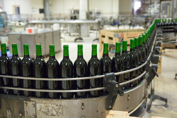 Global Wine Production Statistics: Which Countries Make the Most Wine?