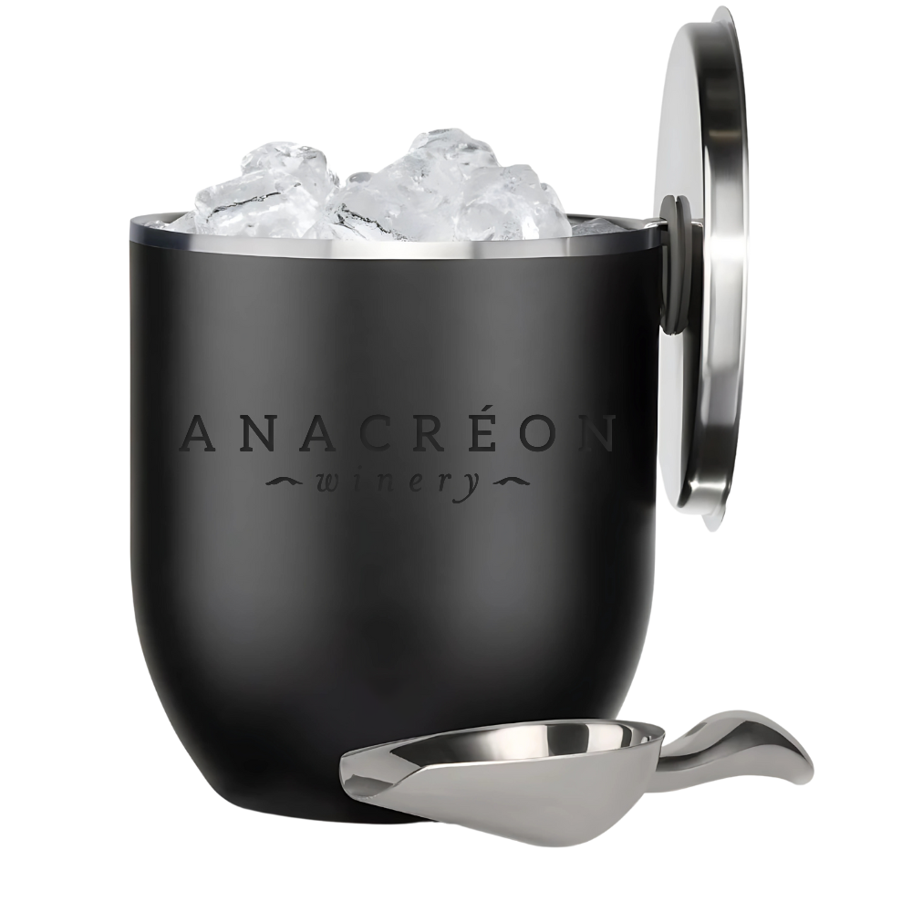 Wholesale Insulated Bucket with Lid and Scoop 3L - Wine-n-Gear